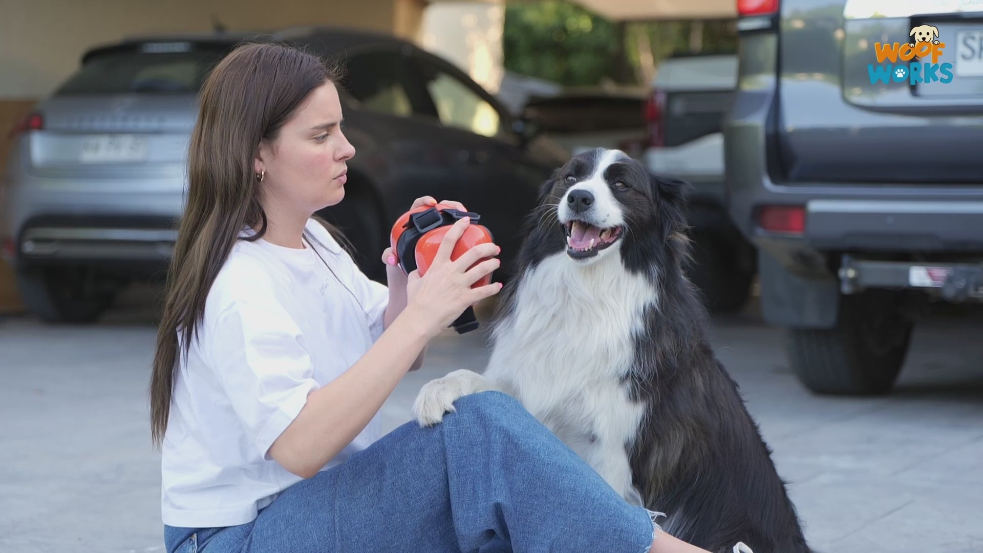 Products – WoofWorks